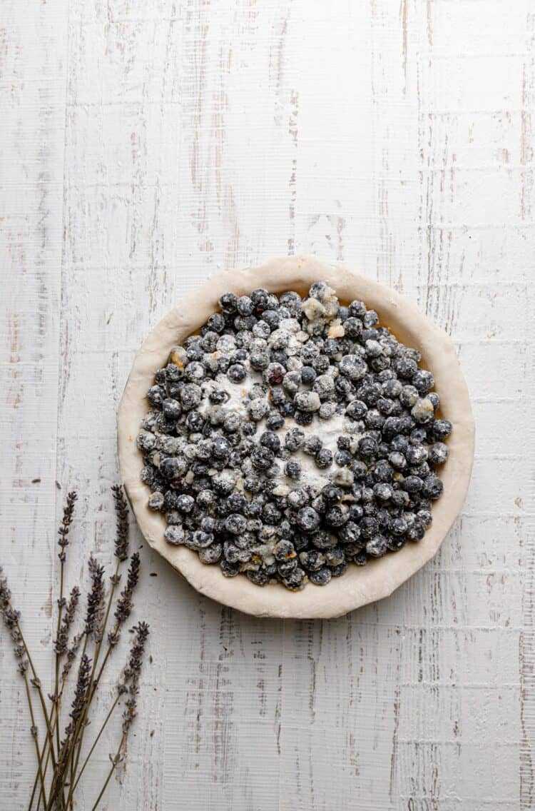 Blueberry Lavender Pie it is so indulging yet light and fresh.