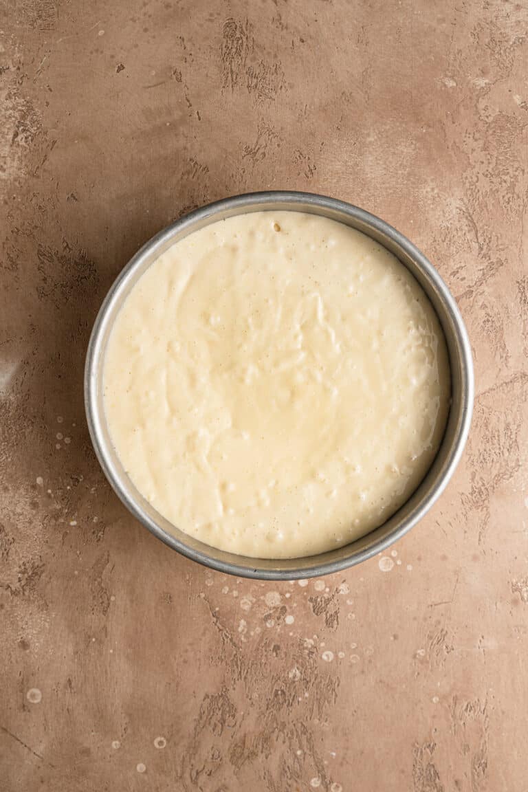 Sponge Cheesecake Cake light and tender cheecake cake.