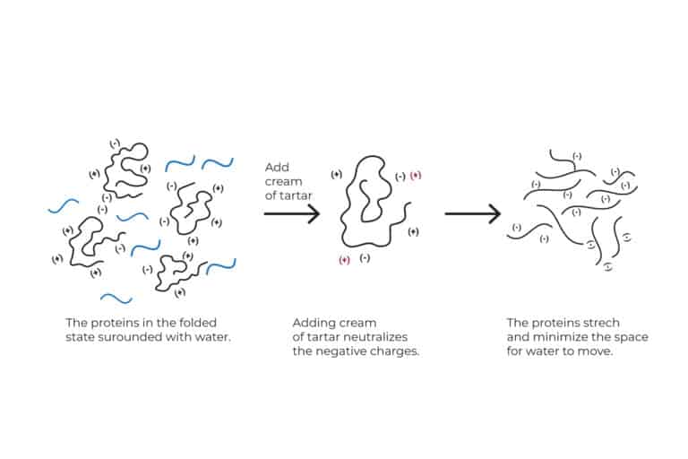 What is heavy cream, and the difference vs. whipping cream