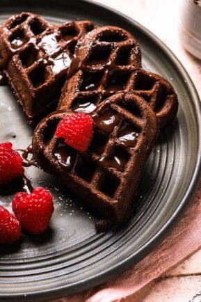 The Best Chocolate Waffles Recipe - One Sarcastic Baker