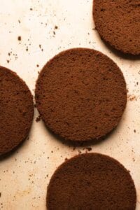 Chocolate Sponge Cake - One Sarcastic Baker