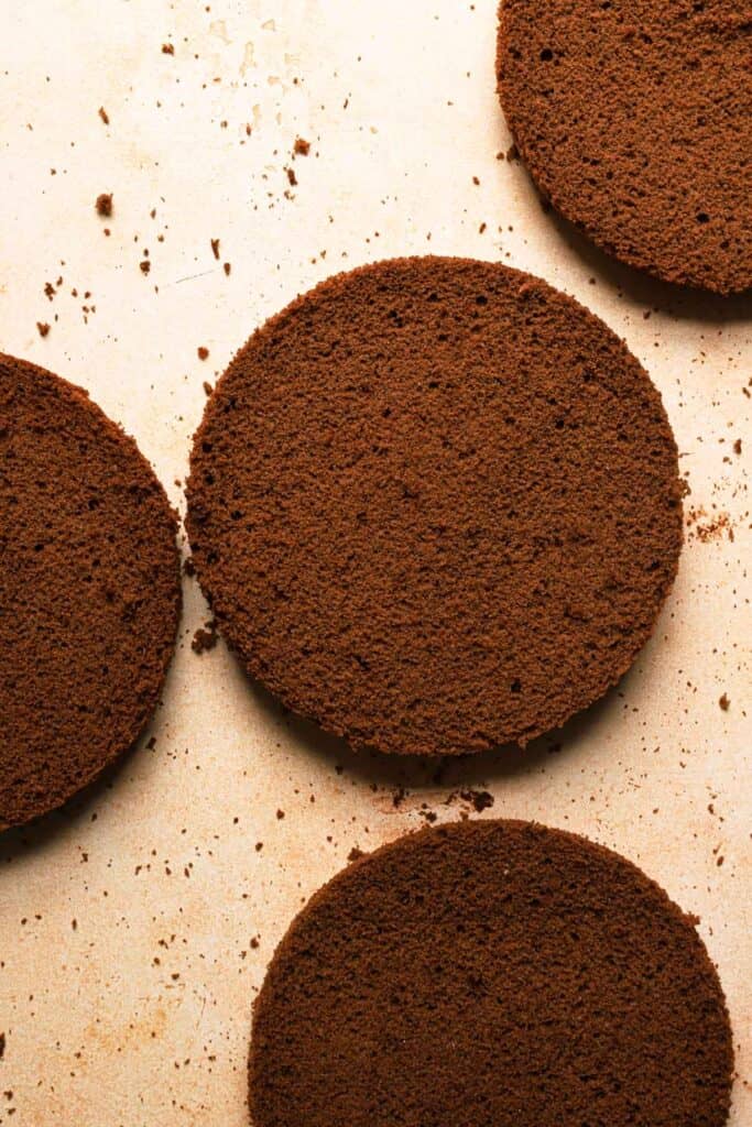 Chocolate Sponge Cake - One Sarcastic Baker