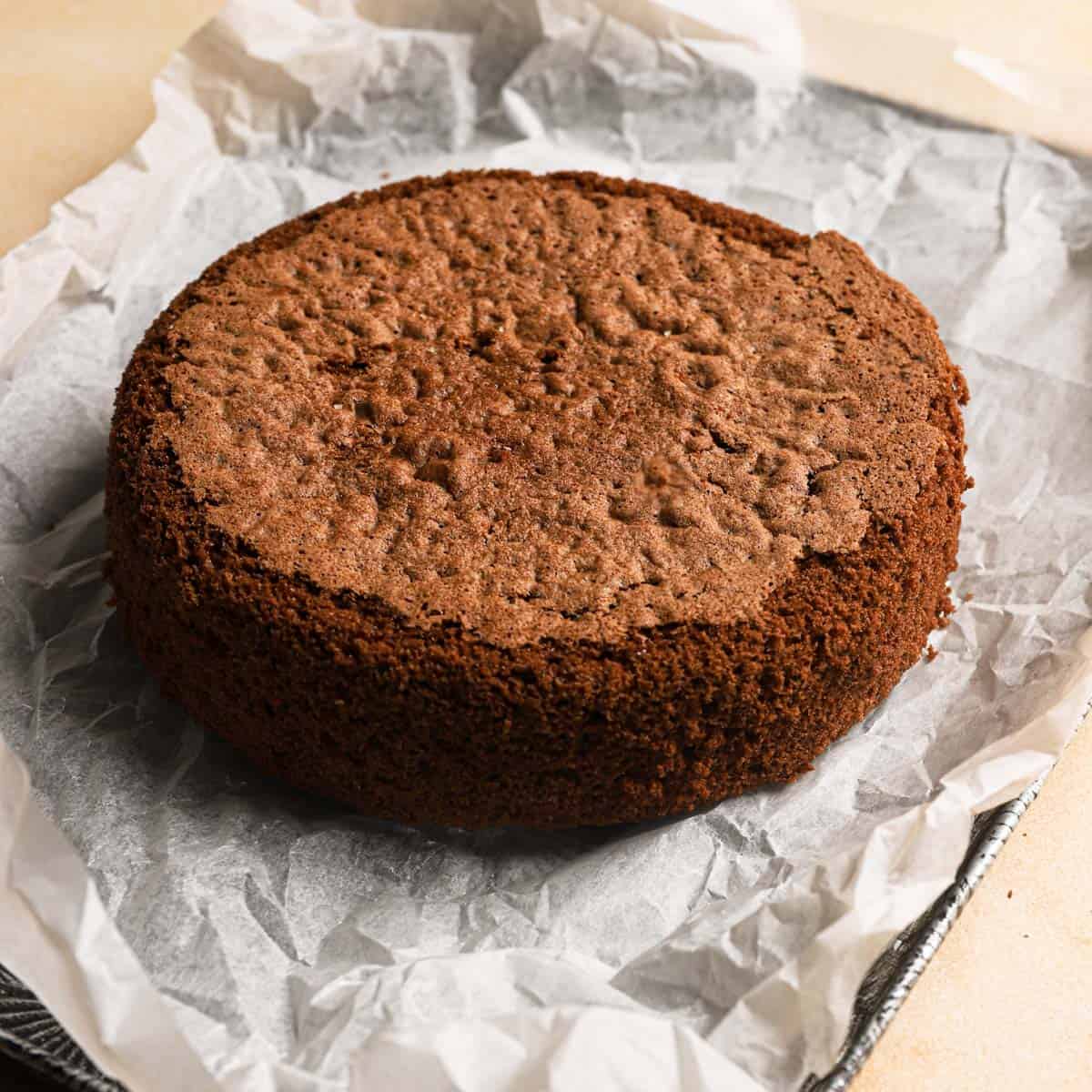 Chocolate Sponge Cake - One Sarcastic Baker