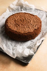 Chocolate Sponge Cake - One Sarcastic Baker