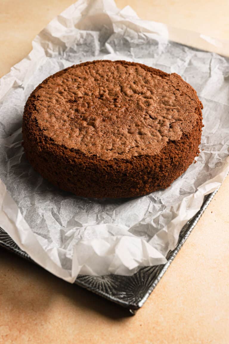 Chocolate Sponge Cake - One Sarcastic Baker