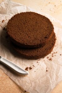 Chocolate Sponge Cake - One Sarcastic Baker